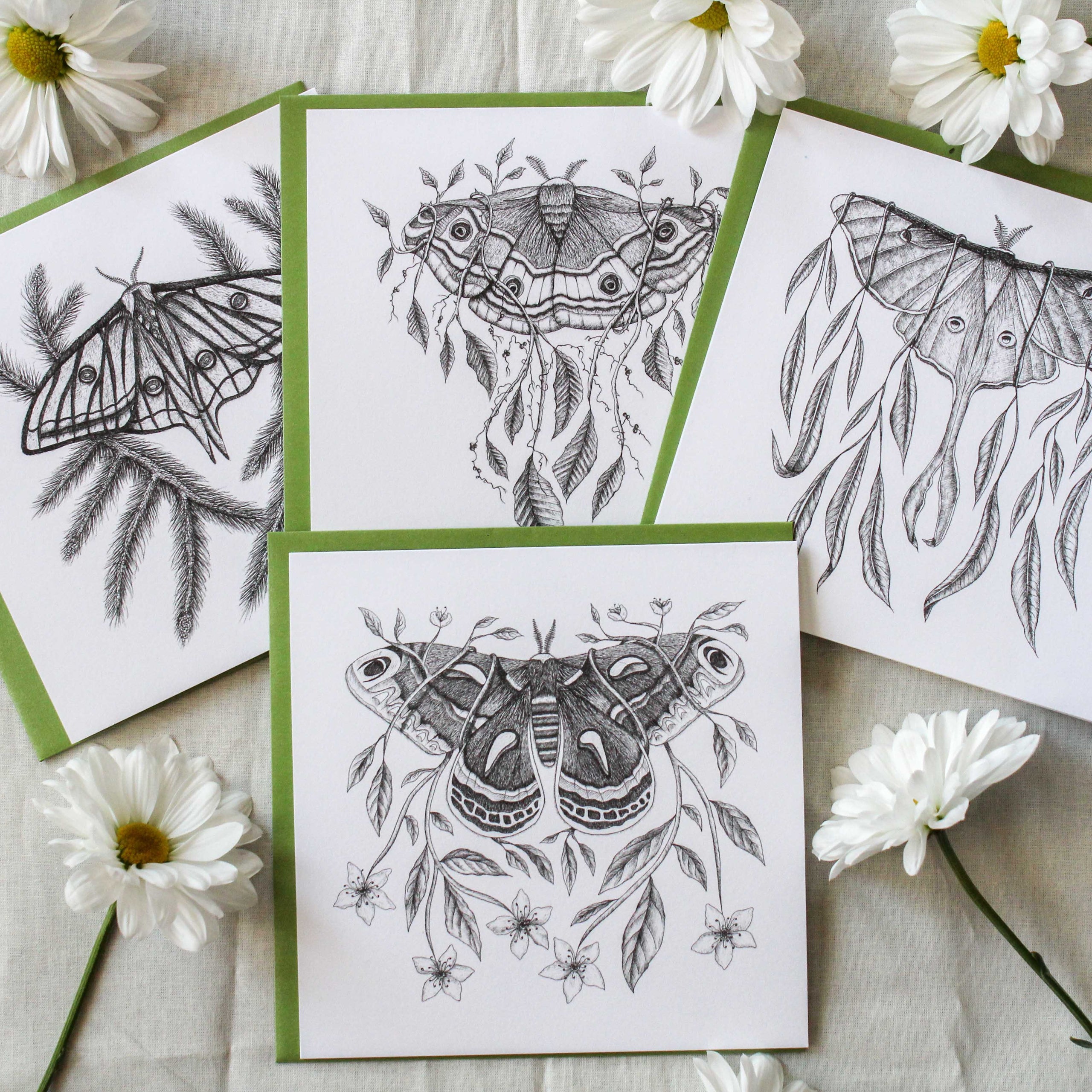 Moths | Assorted Card Boxed Set – Mackenzie Myrick Studio